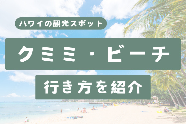 ハワイ クミミ・ビーチの行き方｜地元民にも人気のシュノーケリングスポット！服装・持ち物も - スキホリ